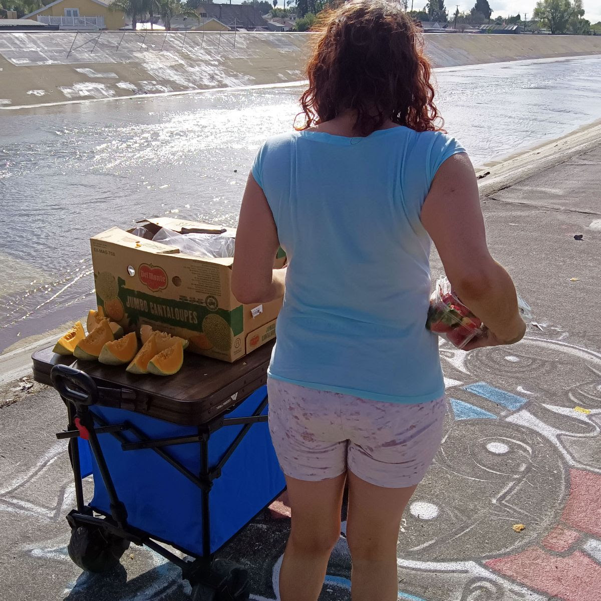 Spring Newsletter - Project Ropa